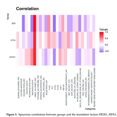 Spearman Correlations Between Groups And The Translation Factors Download Scientific Diagram