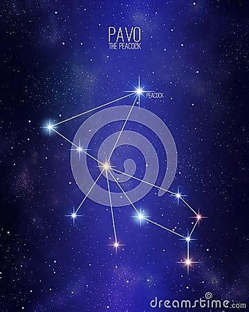 Pavo The Peacock Constellation Map On A Starry Space Background Stars