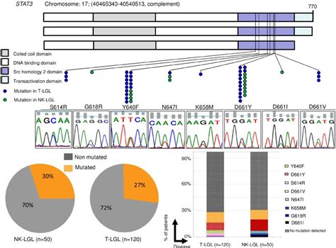 Stat3 Mutations Unify The Pathogenesis Of Chronic Lymphoproliferative Disorders Of Nk Cells And