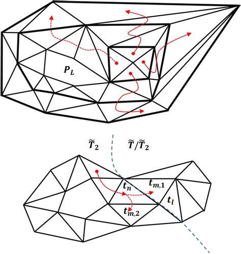 Depiction Of A Tlt With The Neighbor Sequences Of Condition 4 Left Download Scientific