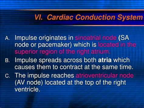 Ppt The Hear T Powerpoint Presentation Free Download Id 3037349