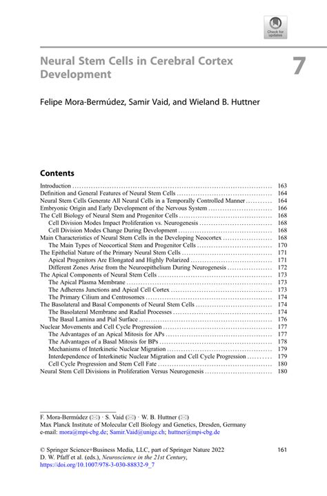 Pdf Neural Stem Cells In Cerebral Cortex Development