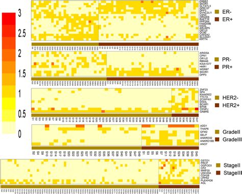 The Deleterious Mutation Scores For The Differentially Mutated Genes