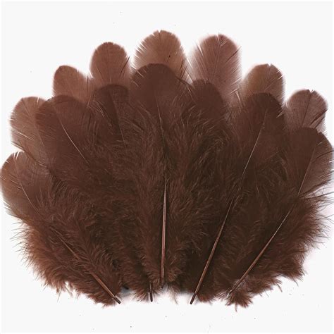 Soarer 300pcs Brown Feathers For Crafts 3 5inch Craft Feathers Bulk