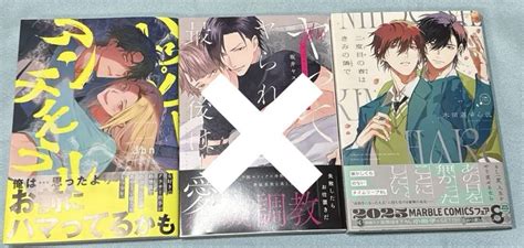 ハッピーアンチモラル ヤってヤられて最後は 愛 二度目の春はきみの隣で メルカリ