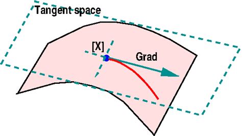 illustration of the line search and the tangent space download