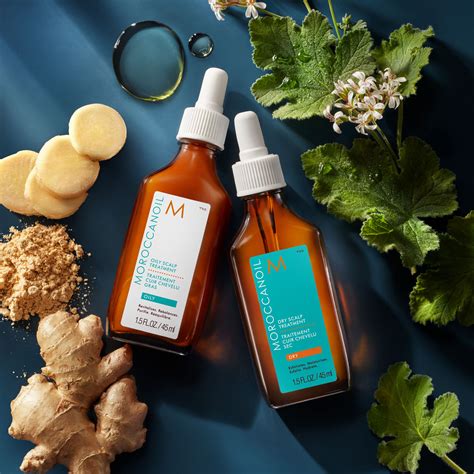 Moroccanoil Dry Vs Oily Scalp Treatment Artofit