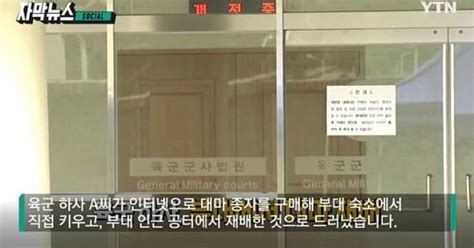 하사가 먹는 수상한 빵 인스티즈 Instiz 이슈 카테고리