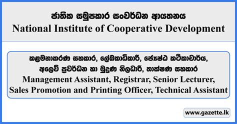 Management Assistant Registrar Lecturer Technical Assistant
