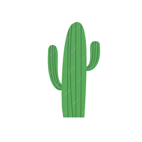 Cactus Vector Ilustración Linda Naturaleza Vector Premium