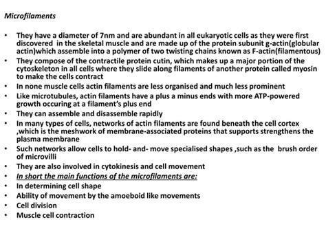 Group 6 Presentation Cytoskeleton Pptx