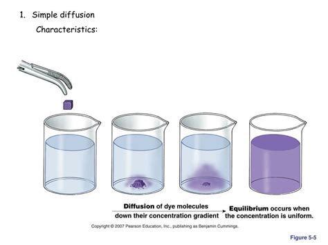 PPT Major Ways Molecules Move Across Cell Membrane PowerPoint Presentation ID