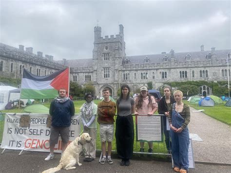 Ucc Spent Nearly €30000 On Security And Lawn Repair After A Pro