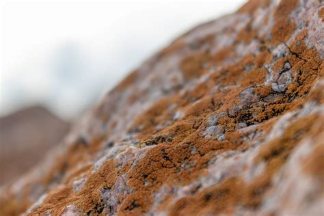 Plongée Dans Le Logarithme Népérien Comprendre Son Importance Et Ses Applications