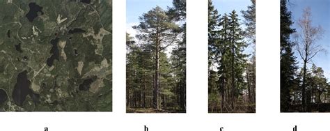 Figure 1 From Assessment Of Low Density Full Waveform Airborne Laser Scanning For Individual