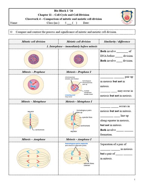 Classwork 114 Comparison Of Mitotic And Meiotic Cell Division Blank