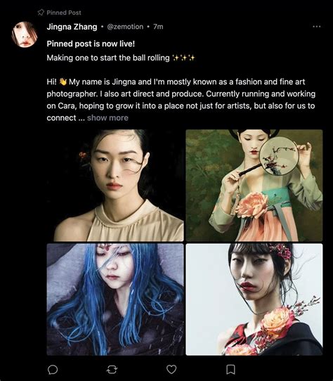 Dev Update 8 Pinned Posts — Cara Artist Social And Portfolio Platform