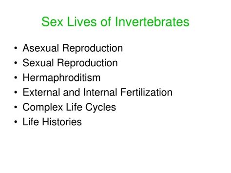 PPT Sex Lives Of Invertebrates PowerPoint Presentation Free Download ID 9312414