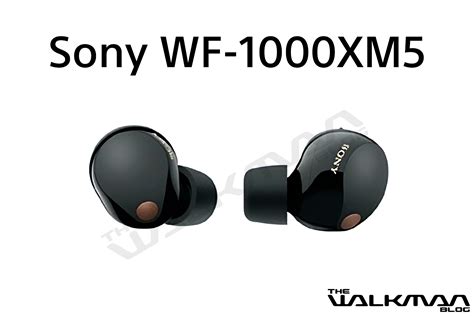 Sony's new flagship TWS earbuds WF-1000MX5 with ANC and up to 24 hour ...