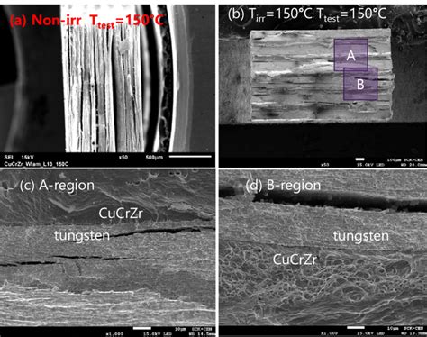 Fracture Surface Of The Cucrzr W Laminate Composites Tirrttest150°c