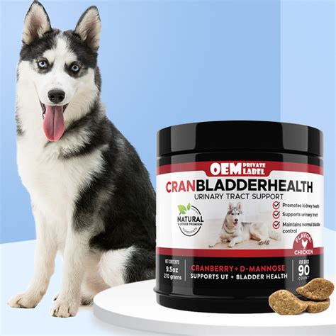 Soft Chewable Tablets For Preventing Urinary Tract Infections In Dogs Urinary Tract Infection Soft Chewable Tablets For Preventing Urinary Tract Infections In Dogs Urinary Tract Infection