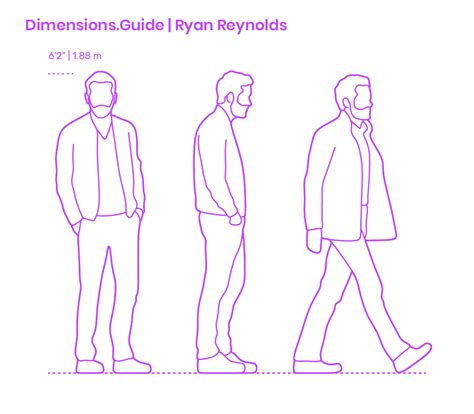 Saoirse Ronan Dimensions And Drawings