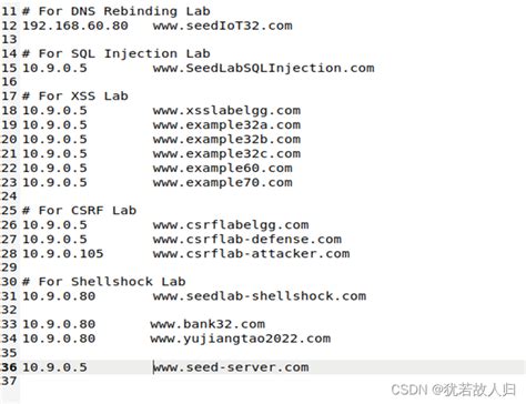 网络安全 sql注入攻击 labsetup sql csdn csdn博客
