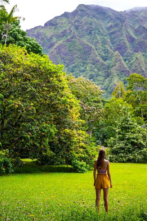 Premium Photo Beautiful Girl Walks Through Hoomaluhia Botanical