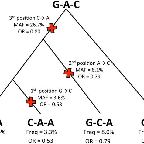 Gating Strategy For Phospho Flow Cytometry Of P Stat4 Lymphocytes Were Download Scientific