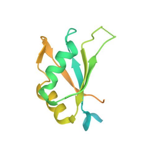 Rcsb Pdb 3fex Crystal Structure Of The Cbc Importin Alpha Complex