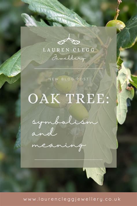 Oak Tree Symbolism Meaning And Folklore — Lauren Clegg Jewellery