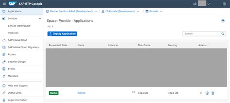 Deploy And Enable The Saas Application For Consumer Access Sap Tutorials