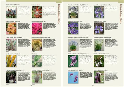 Plant Catalogs Discover Our Selection Of Plant Catalogs To Get Inspiration