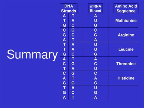 Proteins And Translation Ppt Download