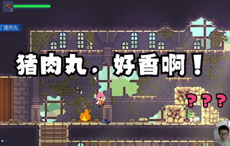 不死鸟传说：觉醒（phoenotopia Awakening） 资源合集 小不点搜索