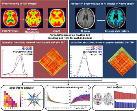 The Flow Diagram Of Images Preprocessing And Analysis Shown Is A Flow Download Scientific