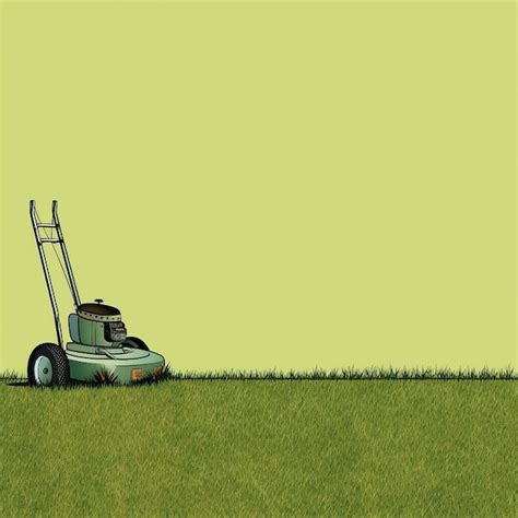 Premium Vector Freshly Cut Grass