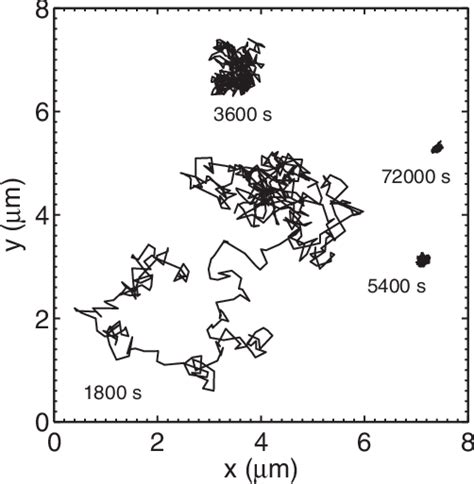 Examples Of Tracer Particle Trajectories In Laponite For T W 1800