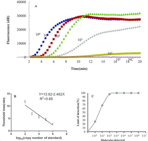 Performance Of The Orfv Exo Rpa Assay A Amplification Curve Of Orfv