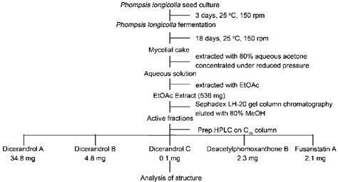 Schematic Representation Of The Procedure For Isolation Of Compounds Download Scientific