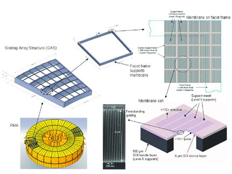 Structural Hierarchy Of Grating Assembly Download Scientific Diagram