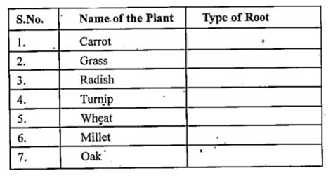 Complete The Table Given Below