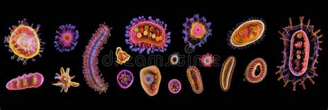 Evolving Sequence Of Bacteria Showcases Diversity In Shape And Form Under Microscope Technology