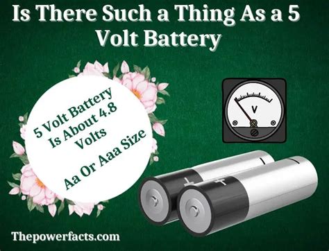Is There Such A Thing As A 5 Volt Battery The Power Facts