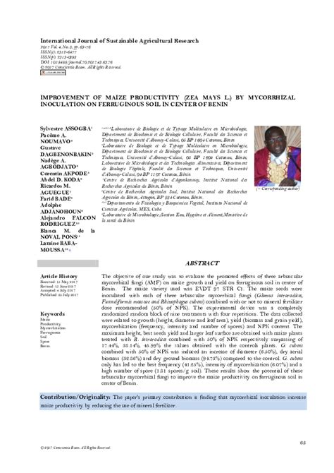 Pdf Improvement Of Maize Productivity Zea Mays L By Mycorrhizal Inoculation On Ferruginous
