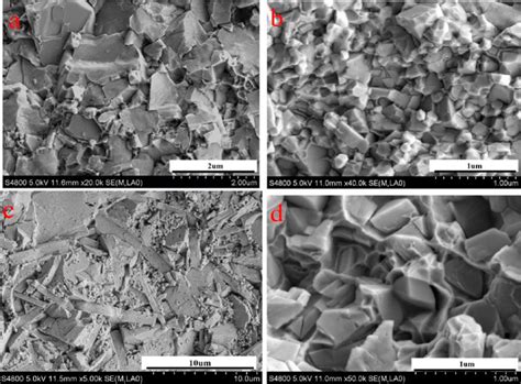The Sem Micrographs Of The Fractured Surface Of Specimens Sintered With Download Scientific