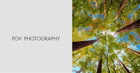 Pov In Photography Tips And Examples