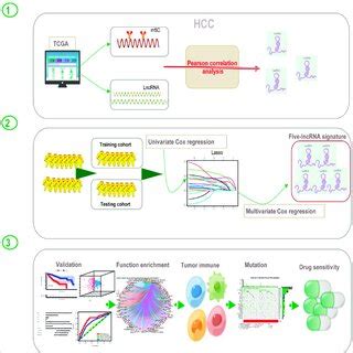 Flow Diagram Of This Study Download Scientific Diagram