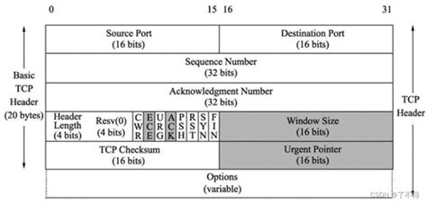 【计网实验】lab Exercise Tcp计网时序图 Csdn博客