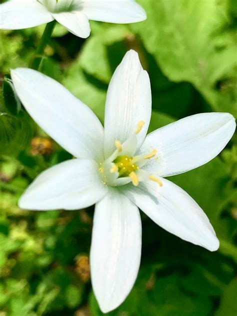 What Do I Know What Do I Know By Eric Mccarty Medium